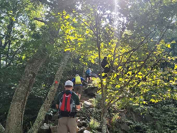 The trail doesn't hand you anything for free, but what's waiting at the top is absolutely worth the climb.