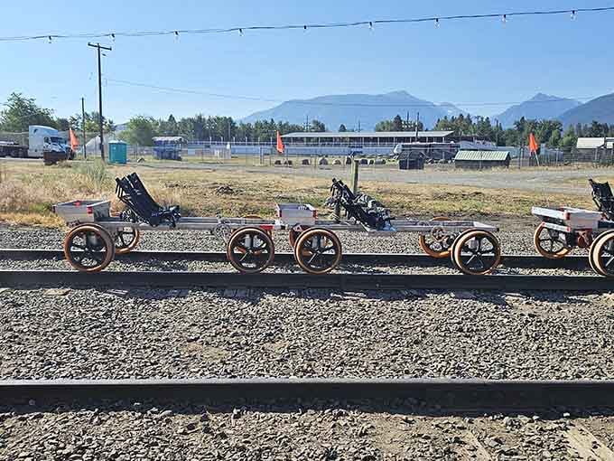 These aren't your typical bicycles, and that's precisely what makes this whole experience absolutely brilliant.