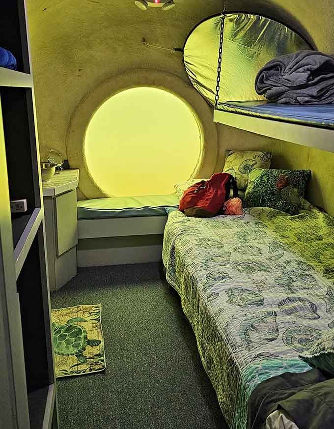 Twin beds with ocean views that literally cannot be beat, unless you count sleeping inside a whale.