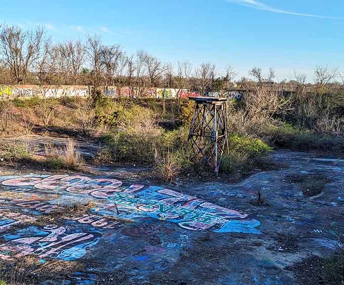 Winter strips away the disguise, revealing the reservoir's bones beneath a blanket of dormant vegetation and faded art.