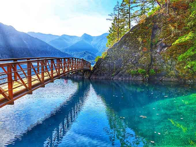 That wooden bridge over crystal-clear water isn't just a crossing. It's a front-row seat to something genuinely extraordinary.