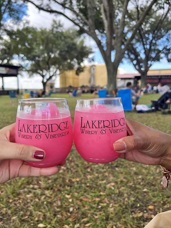 Two pink wine slushies clinking together on the lawn is the kind of moment that makes a Saturday feel like a vacation.