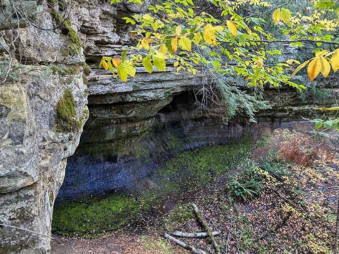 Ancient layered rock draped in moss and autumn gold, proof that Michigan's geology has serious artistic ambitions.