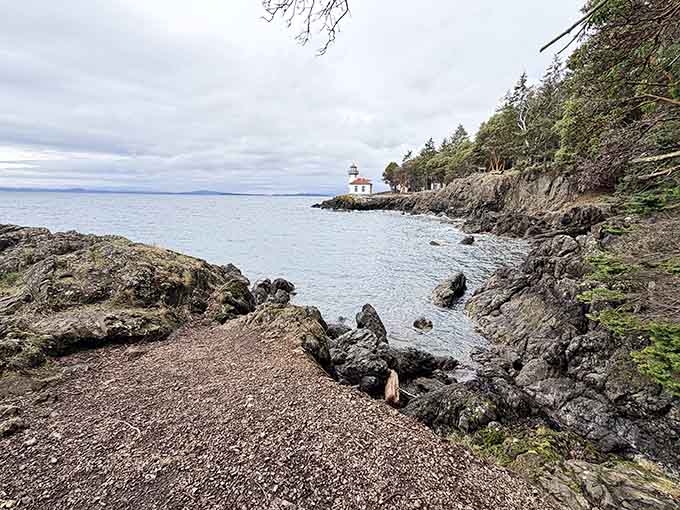 The lighthouse stands sentinel over waters where orcas have traveled for thousands of years. Still operational.