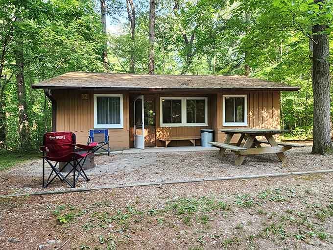 The park's rustic cabin offers a cozy home base for your woodland adventures and morning coffee rituals.