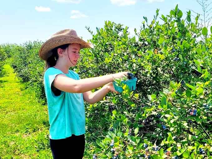 Armed with shears and a sun hat, she's living every flower lover's dream among the blueberry bushes and blooms.