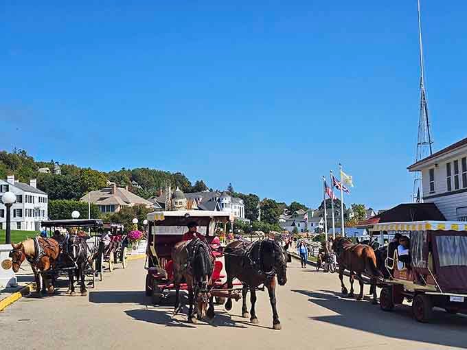 When your rush hour looks like this, you start wondering why cars were ever invited anywhere.