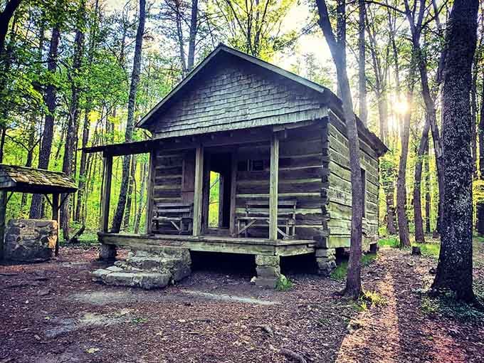 This old log cabin in the woods has more character than most people you'll meet at a dinner party.