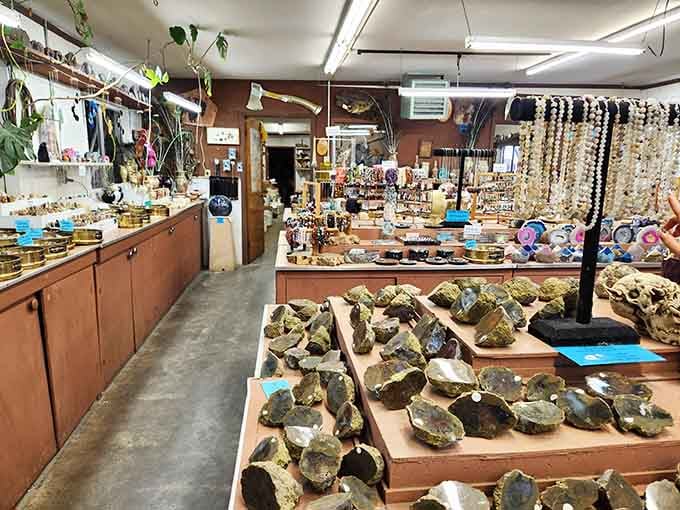 Richardson's Rock Ranch is basically a candy store for geology lovers, and the selection will genuinely surprise you.
