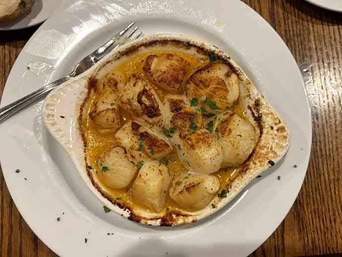 Plump, buttery scallops swimming in a rich sauce, proof that landlocked Pennsylvania can still make the ocean jealous.