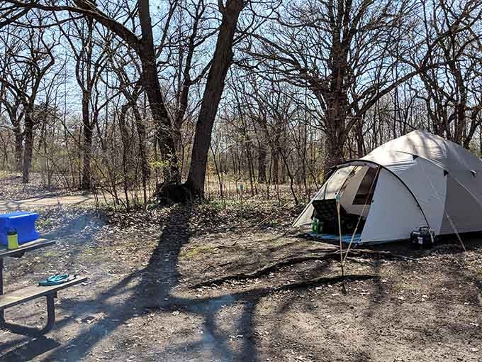 Pitch your tent in a sunny, wooded campsite and enjoy a perfect weekend getaway surrounded by peaceful nature trails.