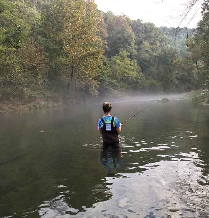 Morning mist rising off spring-fed water creates fishing conditions that feel almost spiritual, honestly magical stuff.