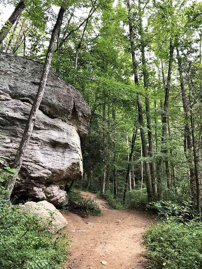 When rocks this massive appear beside the trail, you realize nature's been doing impressive architecture since way before HGTV.