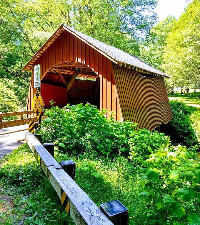 Sunlight filtering through ancient trees makes this red bridge pop like a Kodachrome photograph come alive.