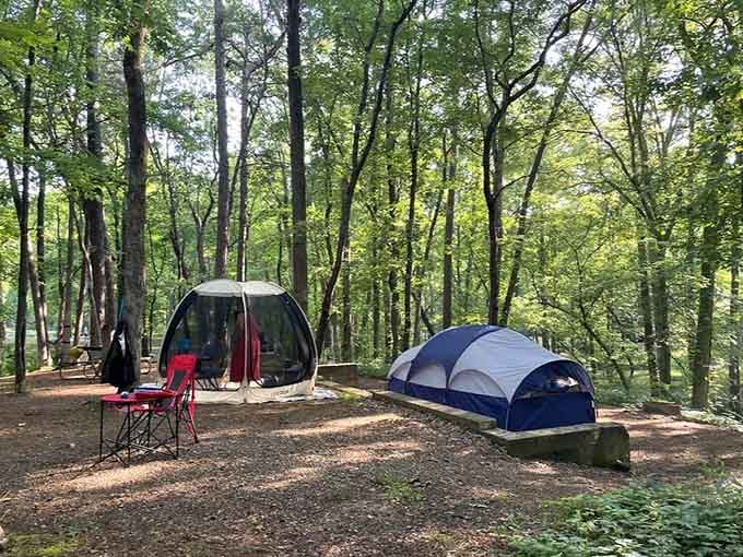 Tucked under a canopy of green, these campsites are where your best night's sleep is waiting.
