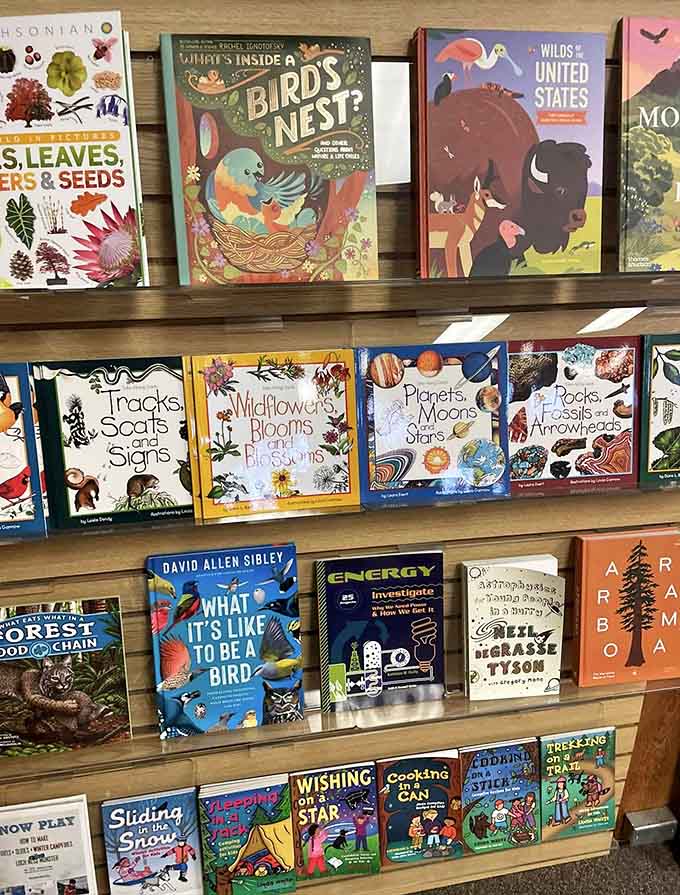 Books about birds, wildflowers, and the cosmos, because the best souvenir you can give a kid is curiosity.
