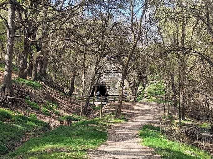 A peaceful path through the trees, and somewhere at the end of it, a million bats are waiting to say hello.
