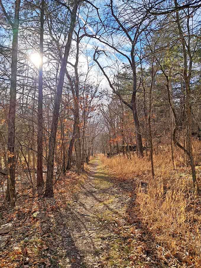 Spring turns the Ozark Chinquapin Trail into a glowing green tunnel that practically begs you to keep walking.