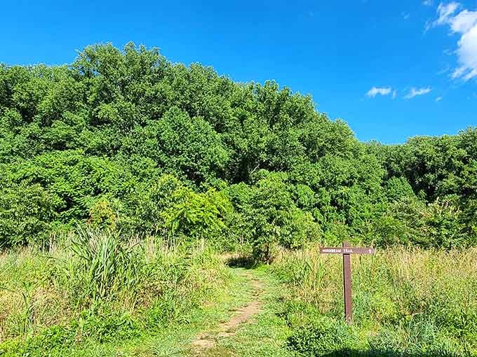 When the trail opens up to blue skies, you remember why leaving the couch matters.