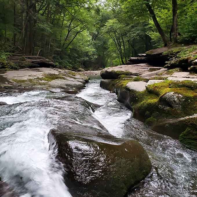 Rondout Creek doesn't rush. It moves with the quiet confidence of someone who knows exactly where they're going.