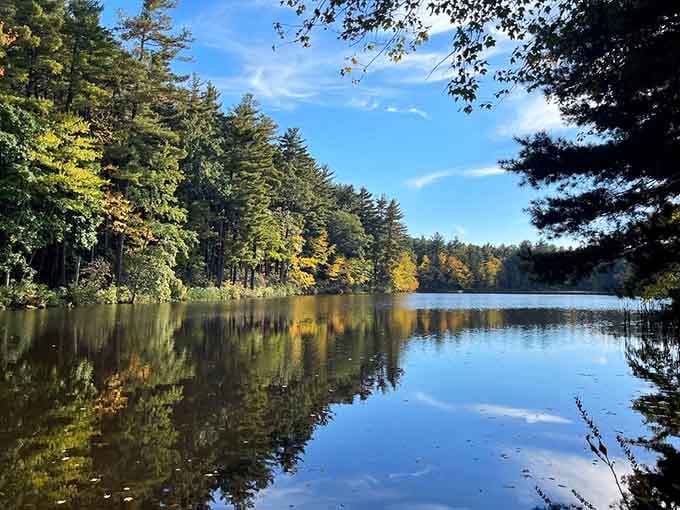 A mirror-still lake framed by autumn gold, nature showing off like it knows you're watching.
