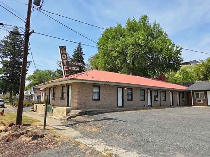 The Pioneer Motel's vintage neon sign stands tall beneath the trees, offering the kind of no-fuss welcome that fancy hotels charge triple to fake.
