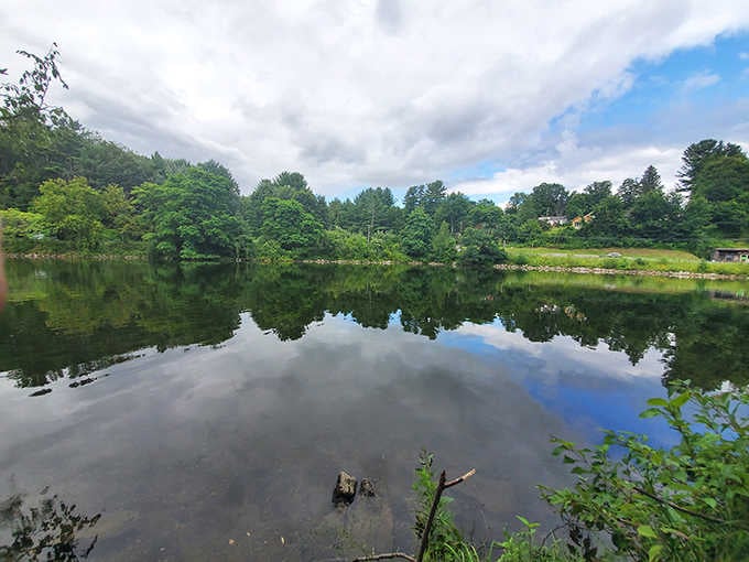 When the lake goes completely still, the sky and the trees trade places, and you genuinely can't tell which way is up.