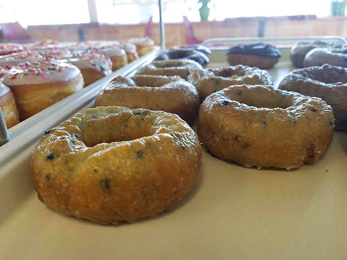 Blueberry cake donuts glistening with glaze, looking like they just stepped out of a Norman Rockwell painting of breakfast perfection.