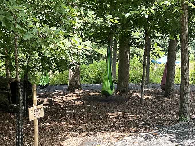 Hammocks in the trees, a climbing area sign, and zero Wi-Fi required. This is the original entertainment package.