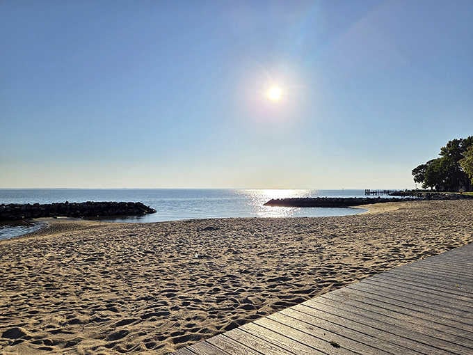 Ferry Park's sandy shore and open Bay horizon. Sometimes the best therapy costs absolutely nothing.