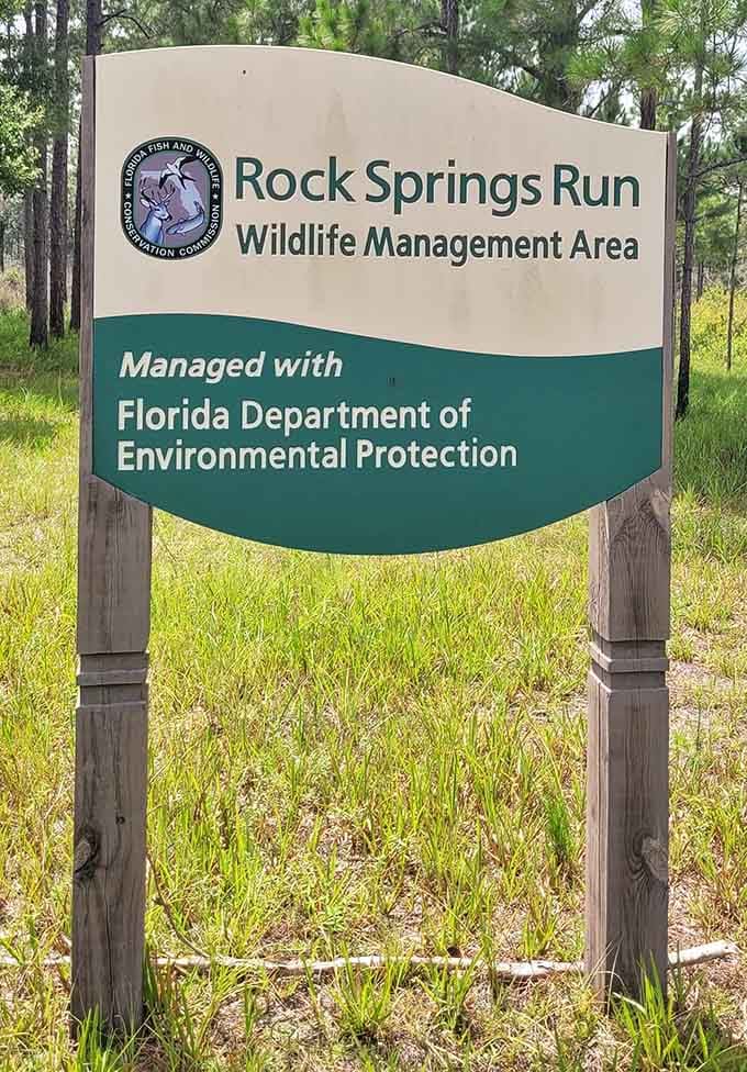 When even the official signage looks peaceful, you know you've found somewhere special worth protecting and exploring.