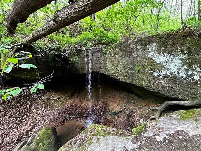 A delicate ribbon of water spills over ancient sandstone in hushed, unhurried silence, the kind of scene that makes you forget your phone exists.