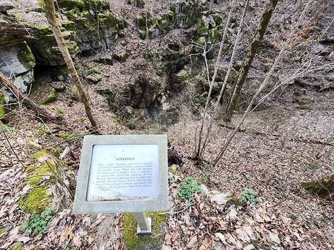 A sinkhole carved by water over millions of years. Nature's been remodeling this property for a very long time.