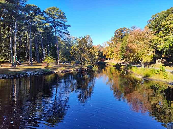 Salisbury City Park wraps the zoo in this kind of autumn beauty that makes you want to sit down and never leave.