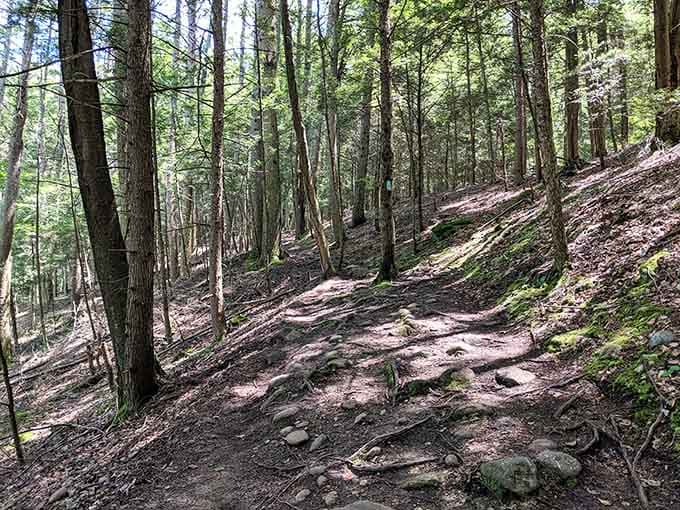 Some trails ask nicely. This one means business, and the views at the top are worth every step.