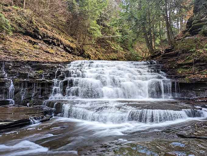 That cascading waterfall isn't asking for your attention. It's simply demanding it, and honestly, you'll give it gladly.