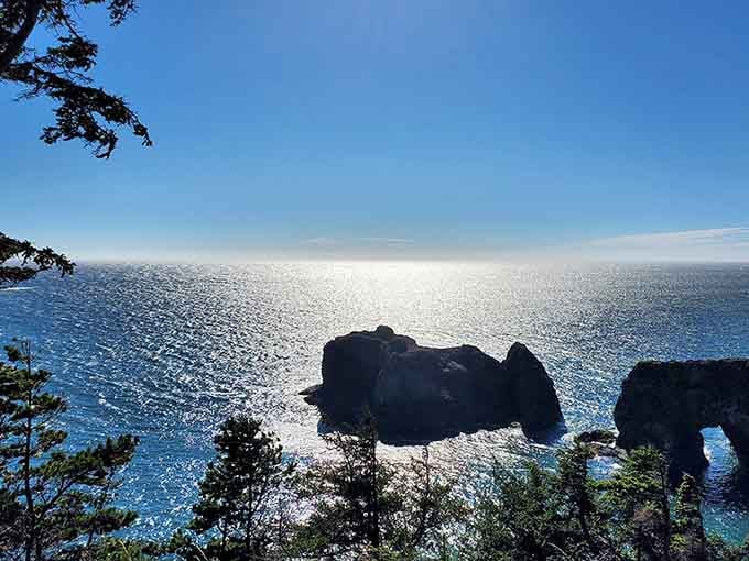 A natural arch framing the Pacific like nature decided to build its own picture window. No filter needed.