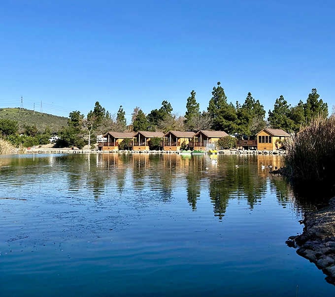 Morning light turns these lakeside cabins into perfect mirror images, doubling your vacation value without extra charge.