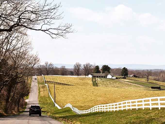 The road dips and rolls through open farmland like it's been practicing for a painting.
