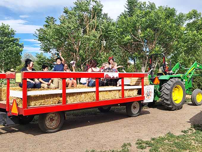 A hay wagon, a green tractor, and smiling faces. This is the kind of ride that needs no seatbelt warning.