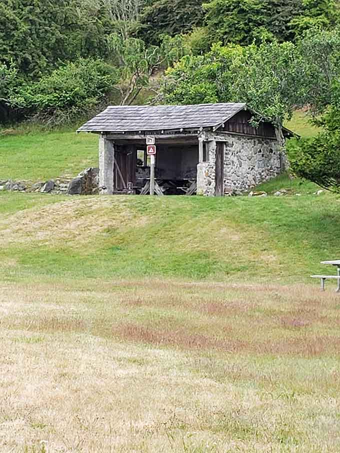 That rustic shelter has seen more campfire stories and s'mores disasters than most therapists hear in a lifetime.