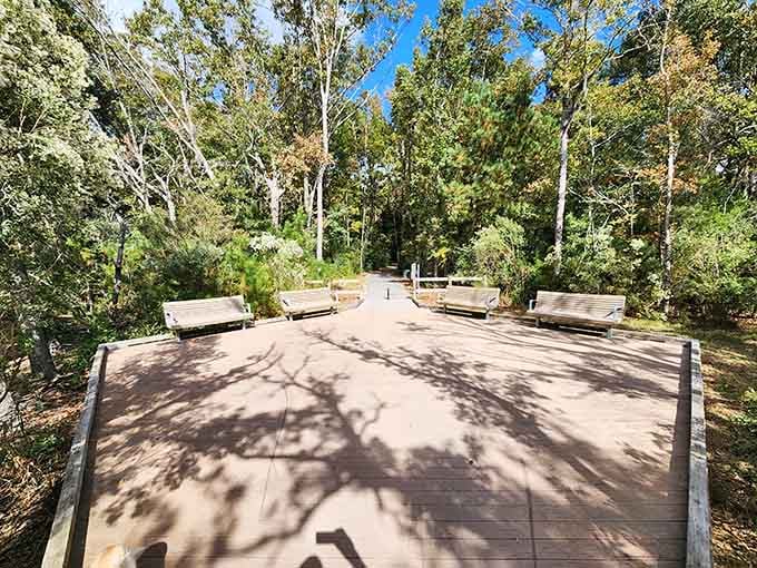 Benches on the island platform invite you to sit down, breathe deeply, and forget your Wi-Fi password.