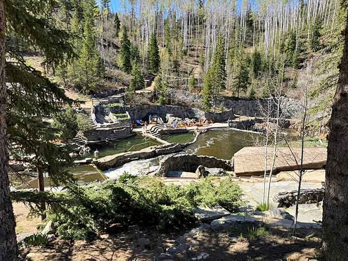 From up here, the pools look like nature's own swimming hole, carved into the earth and surrounded by nothing but trees and sky.
