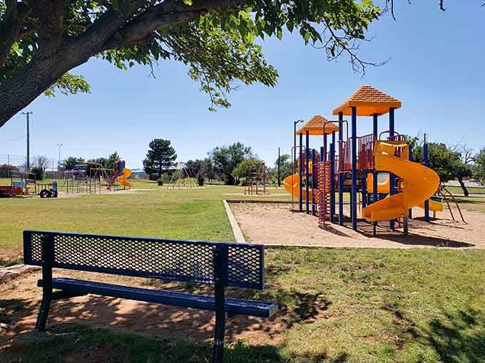 Newman Park proves that Sweetwater knows how to keep its kids happy and its grass green.