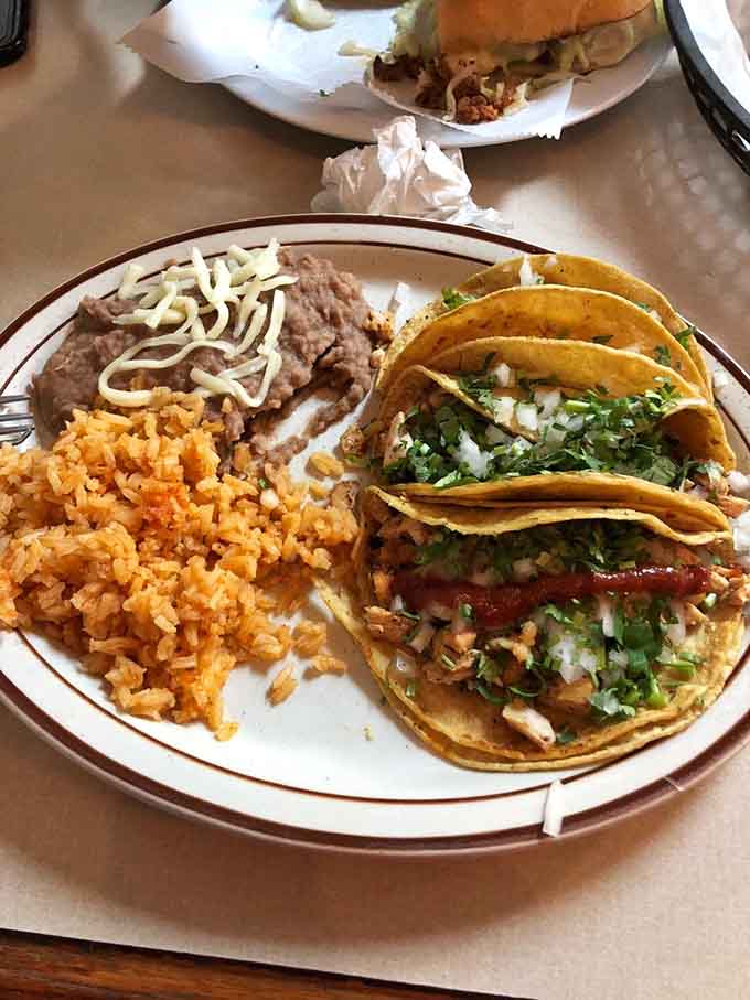 Chicken tacos piled high with cilantro and onion. The kind of plate that makes you forget everything else.