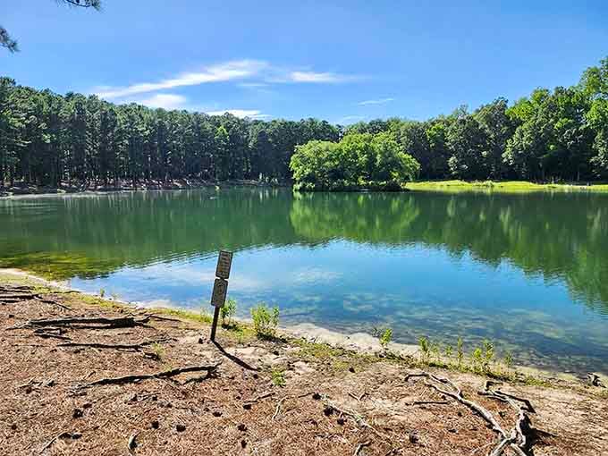 Indian Lake Park offers peaceful water views that cost exactly zero dollars to enjoy, imagine that.