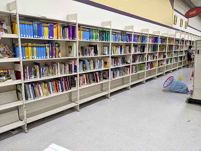 Shelf after shelf of stories waiting to be read, and not one of them will cost you much.