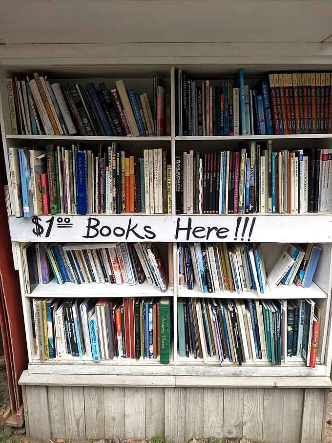 A dollar a book. Somewhere, a librarian just smiled and a Wall Street banker wept.