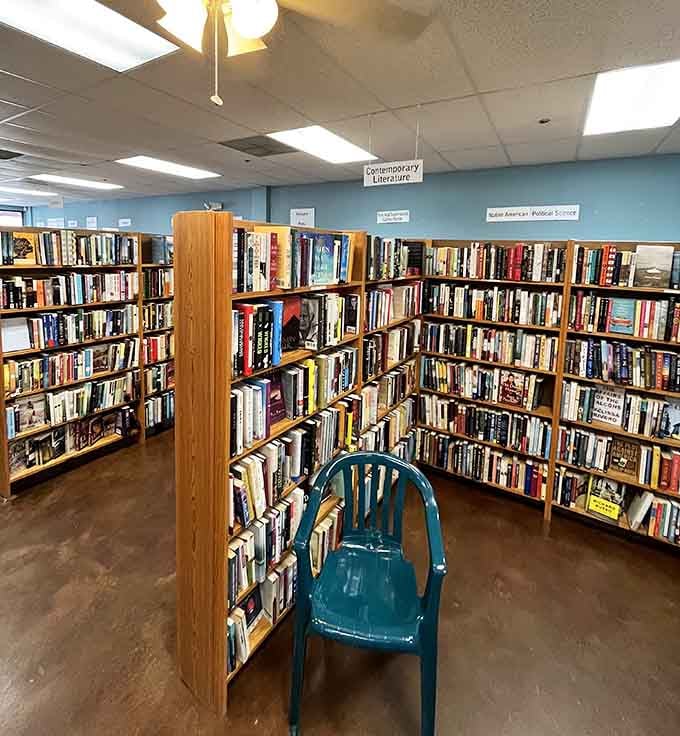 A teal chair sitting quietly between Contemporary Literature and Political Science, practically begging you to sit down and stay awhile.