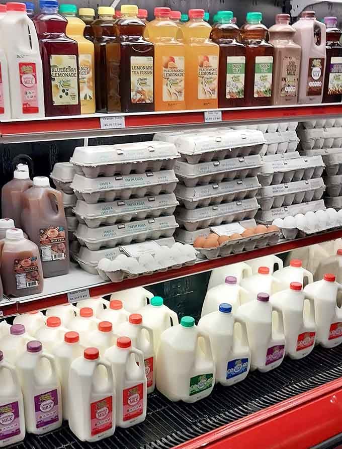Fresh eggs, farm milk, and homemade drinks. Your refrigerator is about to have its best day ever.